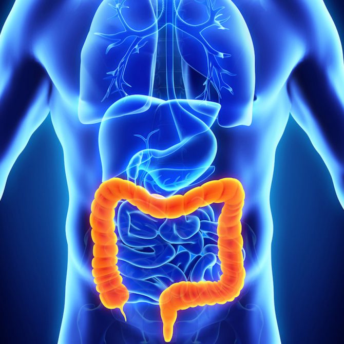 Cómo Cuidar Tu Colon - Noticias Saludables